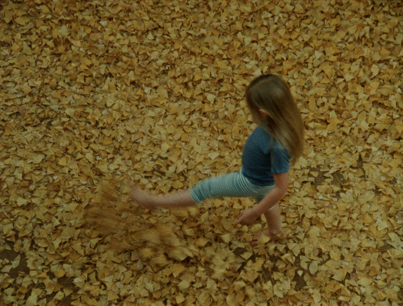Falling Lessons: The Films of Amy Halpern 1 - Open City Documentary ...