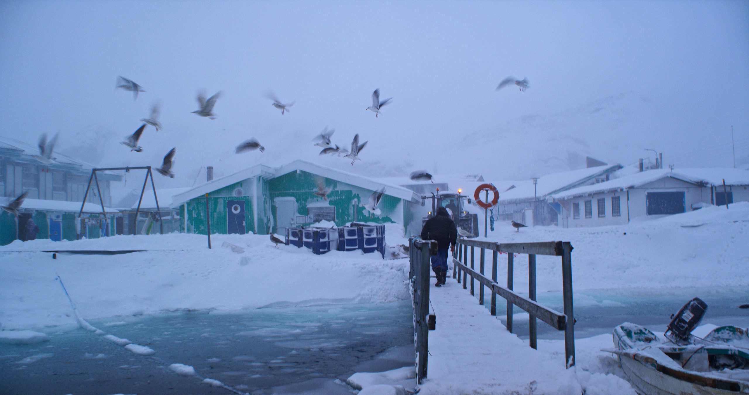 Open City Documentary Festival 2019 - Focus: Winter's Yearning ...